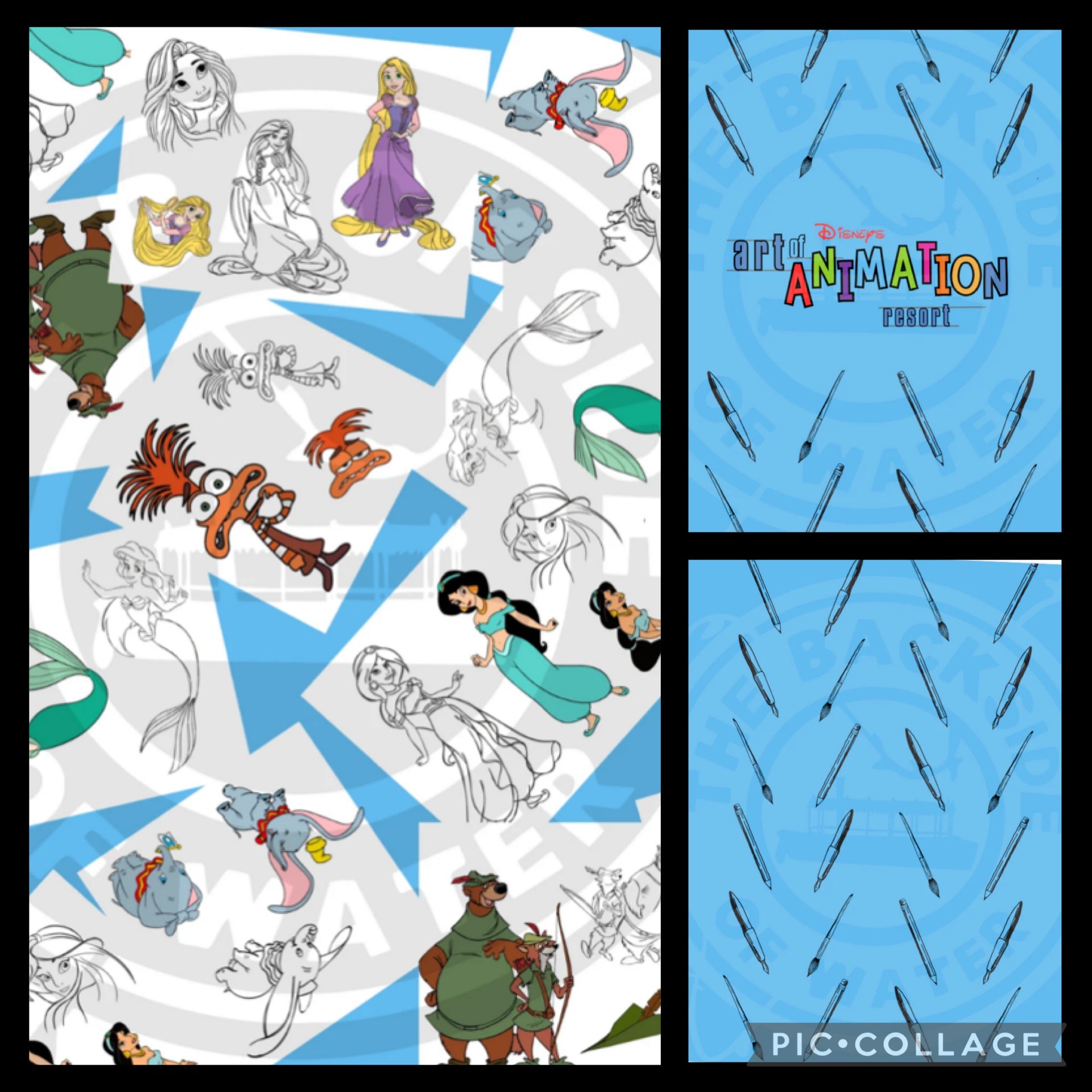 R18 - Art of Animation – Backside of Water Fabrics